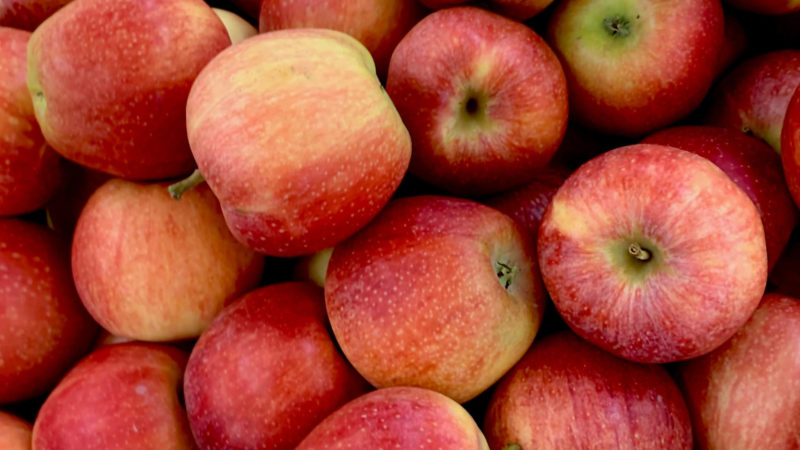Apple Benefits and Nutritional Facts – NutritionFact.in