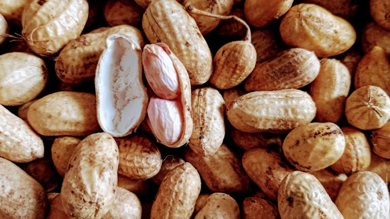 Nutritional Facts For Peanuts – NutritionFact.in