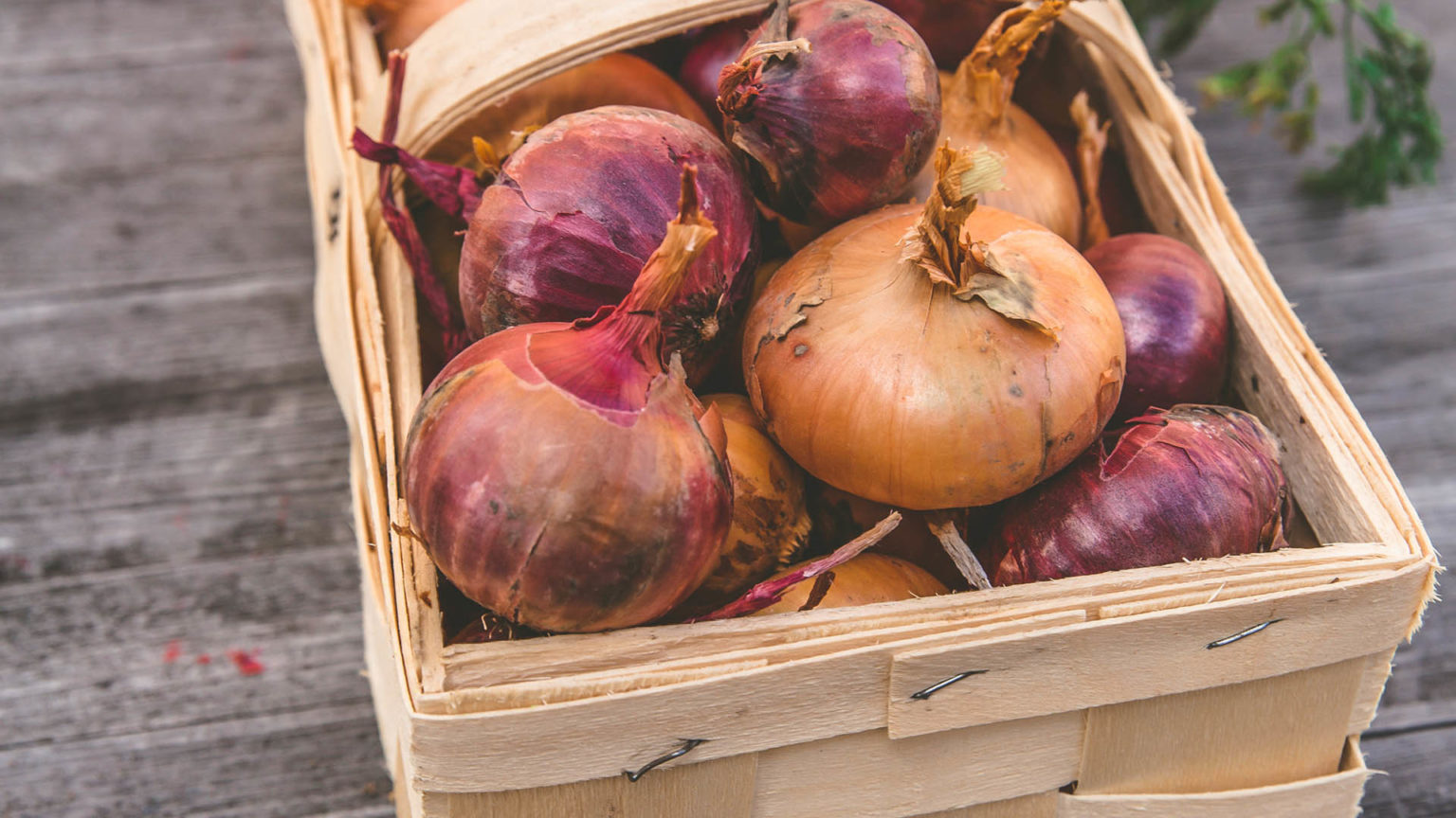 Nutritional Facts For Onions – NutritionFact.in