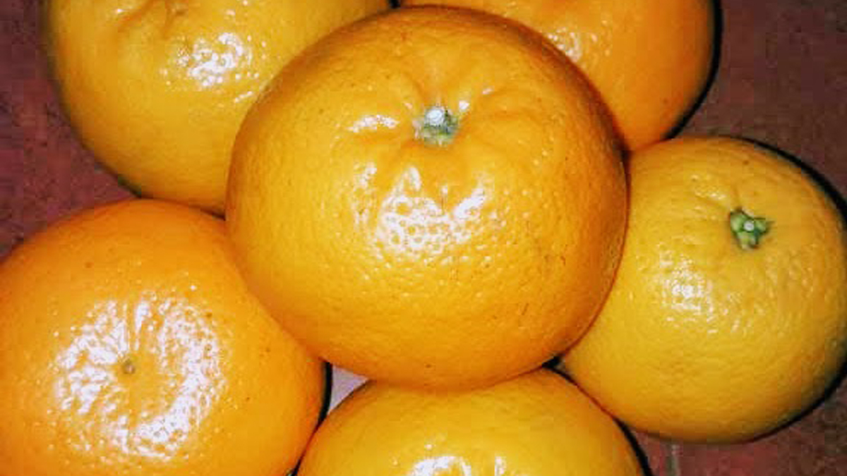 Orange: Nutritional Facts – Nutritionfact.in