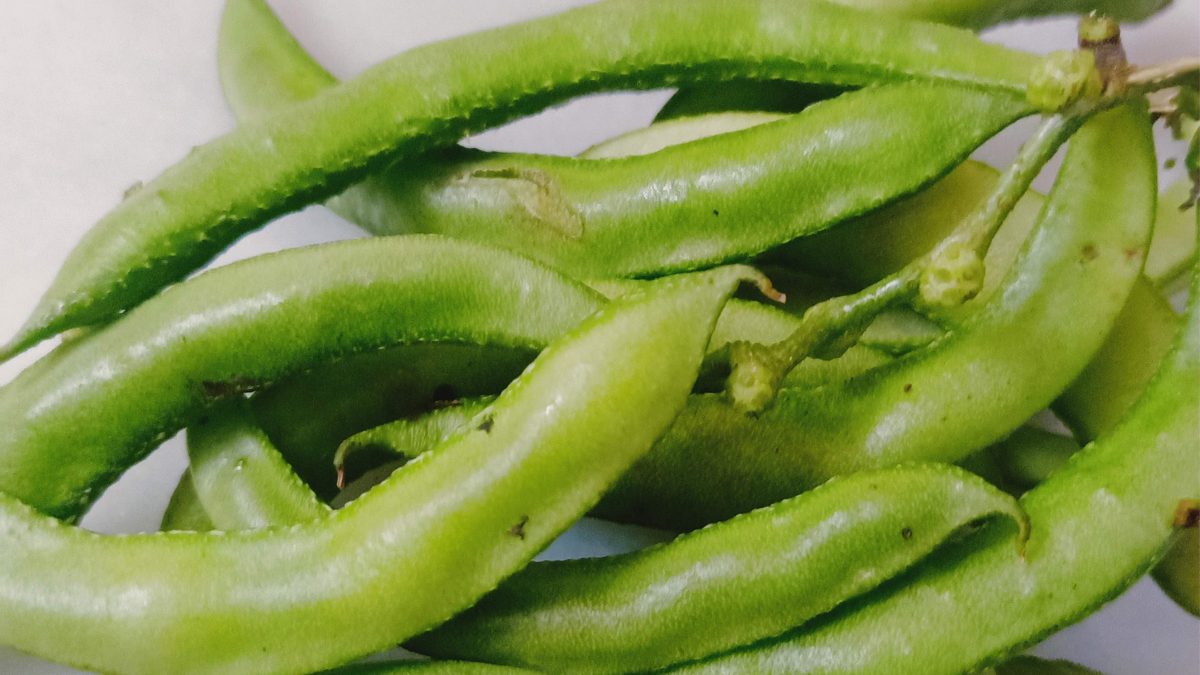 Nutritional Facts of Green Beans – Nutritionfact.in