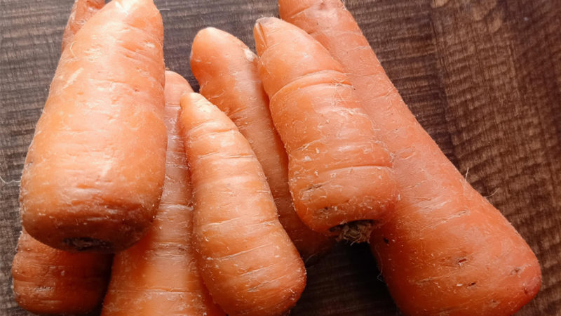 Carrot-Benefits And Nutritional Facts – NutritionFact.in