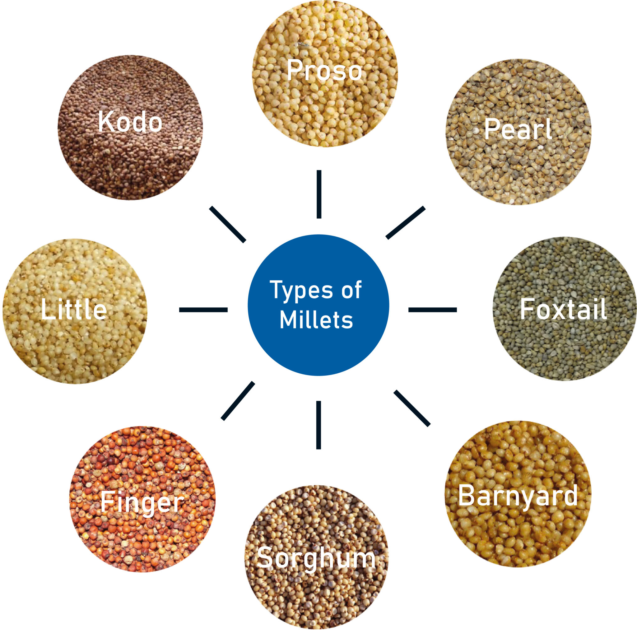 Types And Benefits Of Millets NutritionFact in