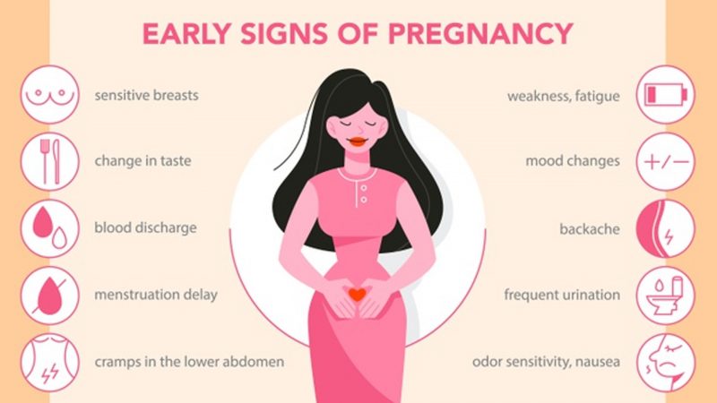 11 Early Pregnancy Signs and Symptoms Along With Care & Diet ...