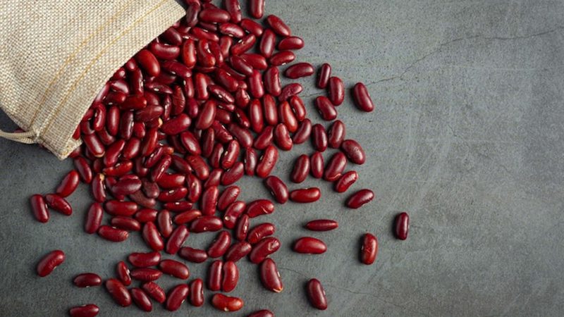 Rajma/ Kidney Bean – Nutrition and Health Benefits – NutritionFact.in