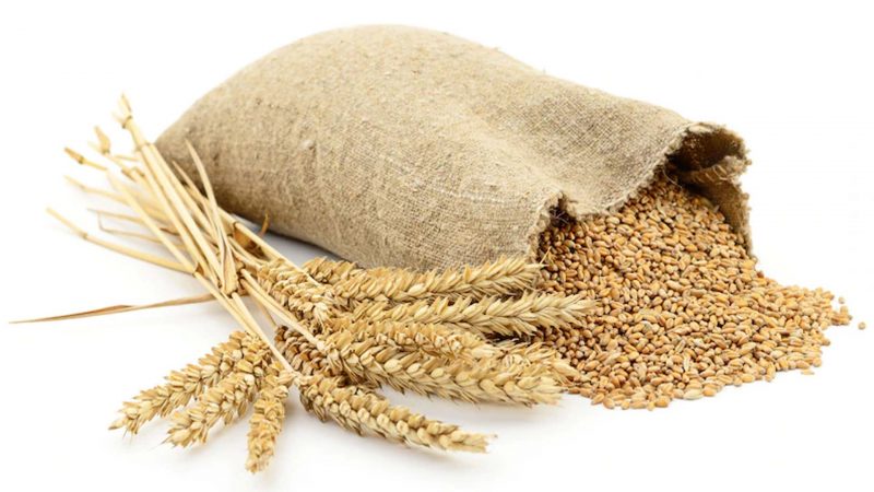 Wheat Nutrition – NutritionFact.in