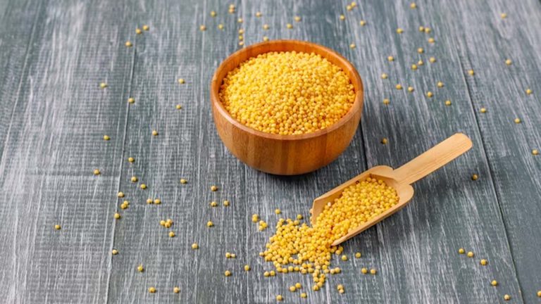 Nutritional Value of Foxtail Millet Per 100g – NutritionFact.in