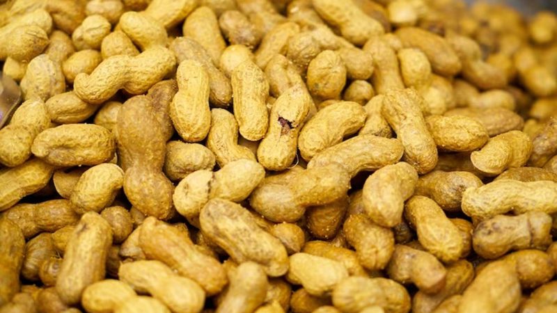 Nutritional Value of Boiled Peanuts Per 100g – NutritionFact.in