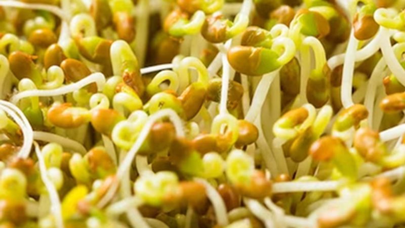 What is the Nutritional Value of Moong Sprouts Per 100g? – NutritionFact.in