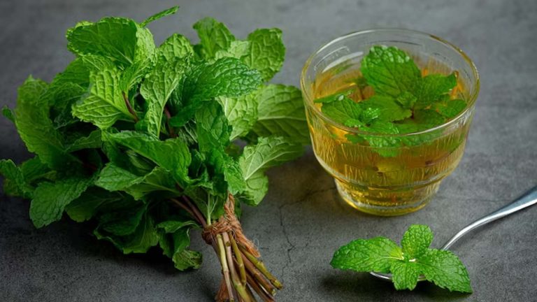 Mint: Nutrition, Health Benefits, Tips to Add in Diet and Risks ...
