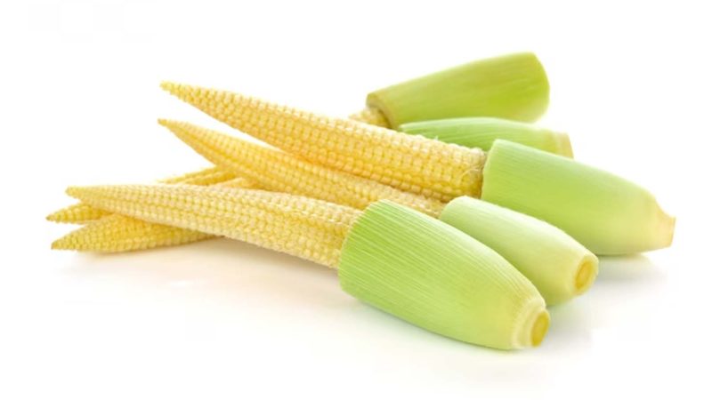 What is Baby Corn Nutritional Value? – NutritionFact.in