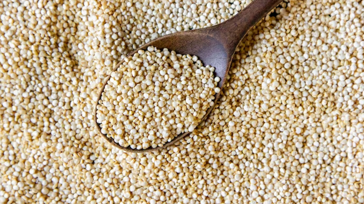 What Are The Health Benefits of Jowar? – NutritionFact.in