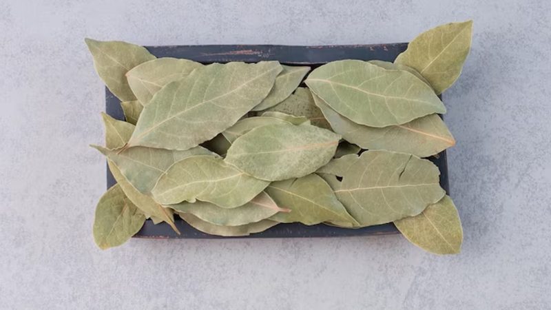 How To Use Tej patta For Health Benefits? – NutritionFact.in