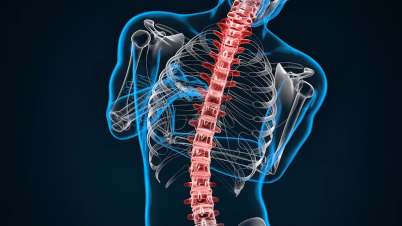 What are the Symptoms of Torn Rib Cartilage? – NutritionFact.in